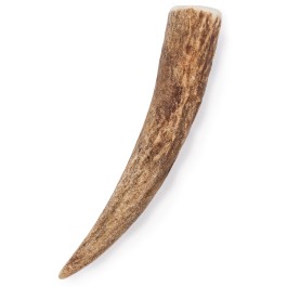 Real Stag Horn Kilt Pin | Kilt Pins | USA Kilts